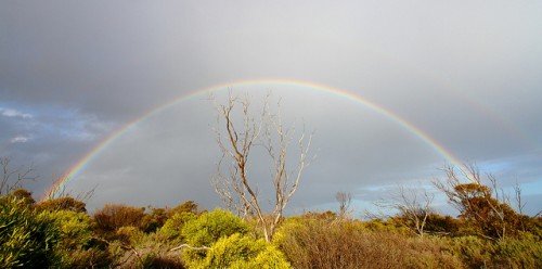25 Beautiful Photos of Rainbows - inspirich