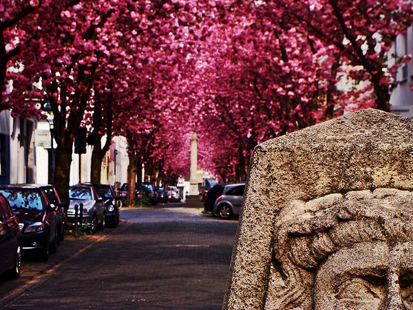 20 Amazing and Unreal Places You Would Hardly Believe Their Existence ...